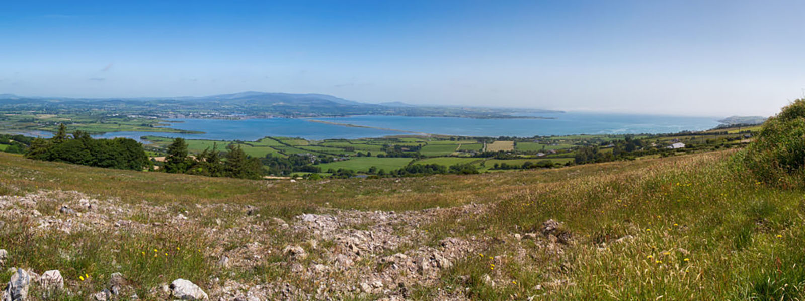NTA and TFI Local Link Partner with Mount Congreve Gardens for Summer ...